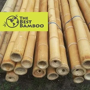 The Best Bamboo — Bamboo Poles for Sale — Bamboo Poles - Retail