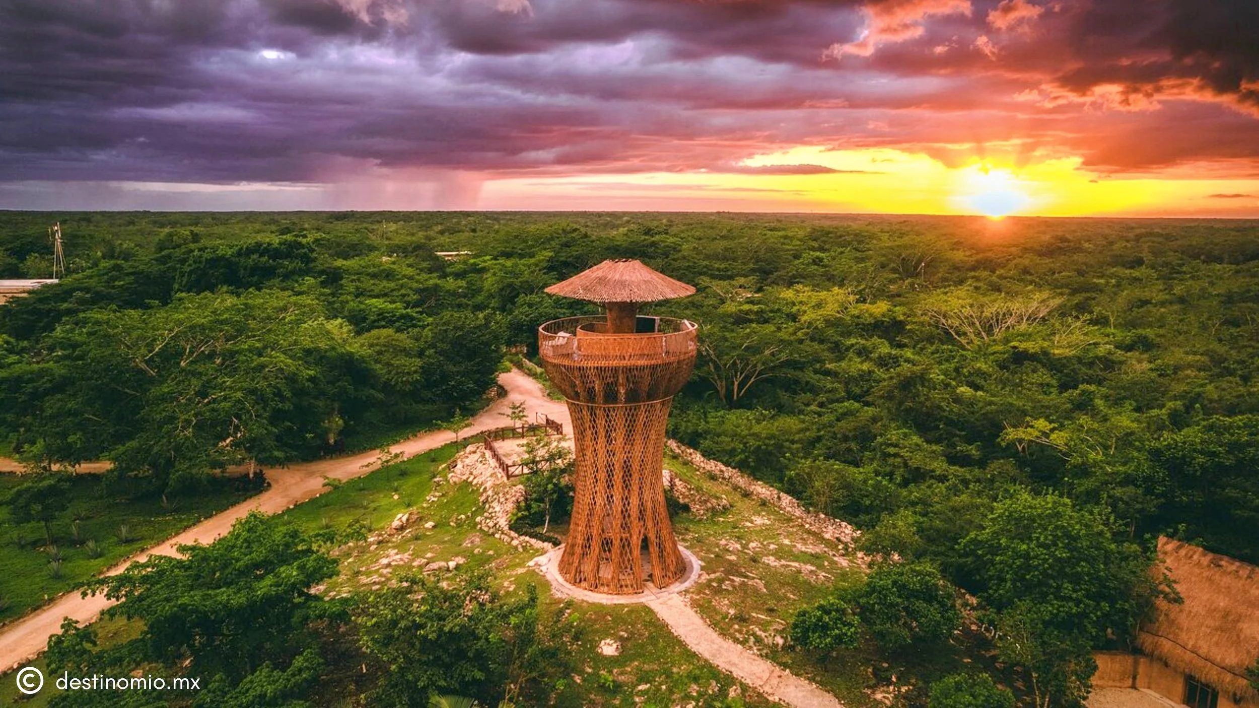 Exploring Bamboo: Innovative Structural Systems in Bamboo Architecture ...