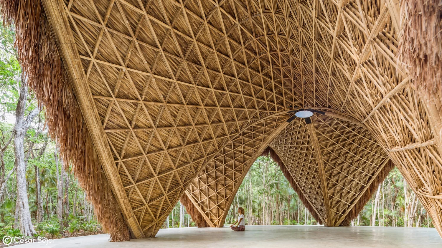 Bamboo Architecture: Structural Systems and Bamboo Buildings — The Best ...
