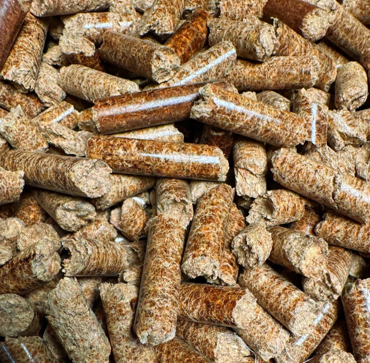From Bamboo to Bioenergy: The Rise of Biomass - Renewable Bamboo Pellet ...