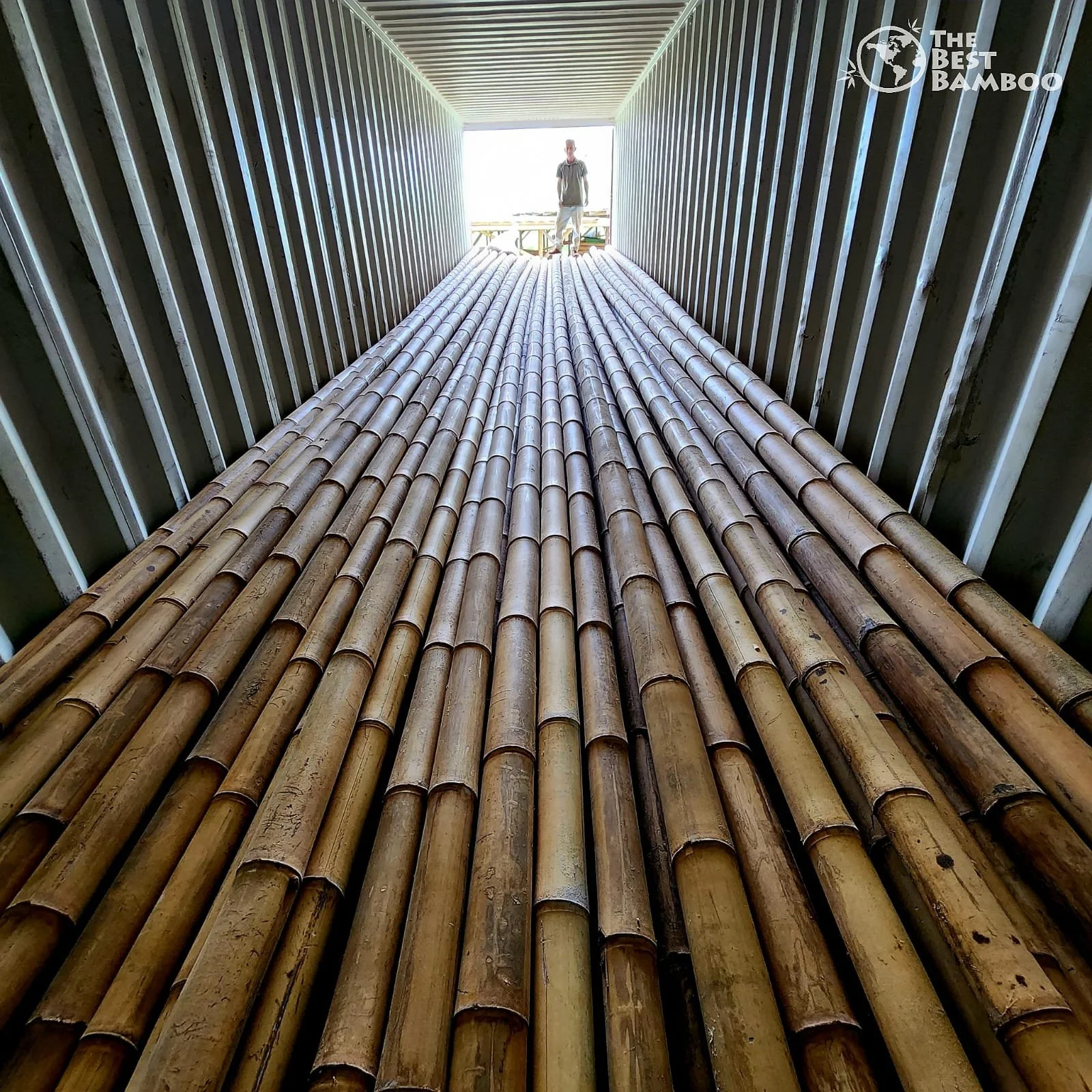 Guadua Bamboo Poles for Sale from Colombia — The Best Bamboo