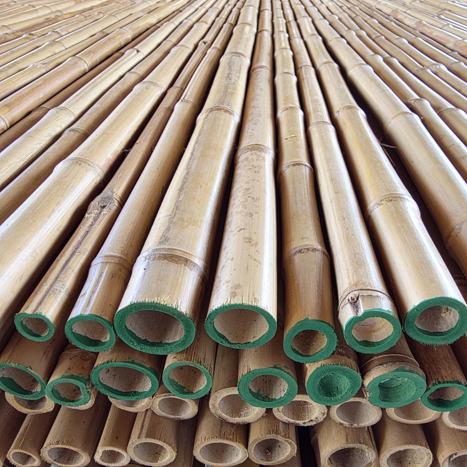 Bamboo Fencing | Bamboo Privacy Screens | Outdoor Screens — The Best Bamboo