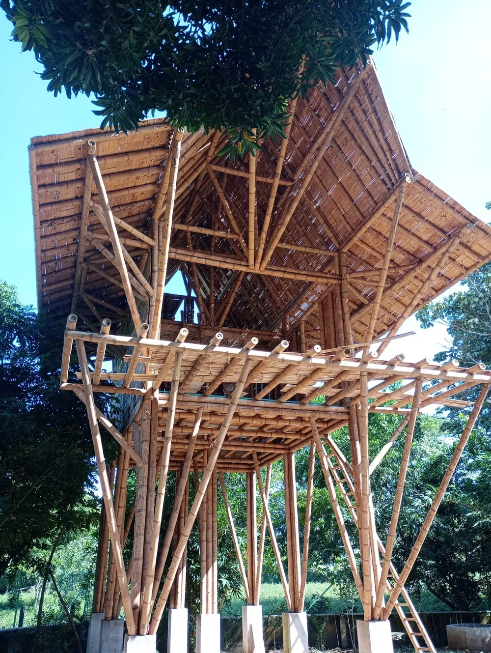 The Best Crushed Bamboo Mats and Bamboo Panels — The Best Bamboo