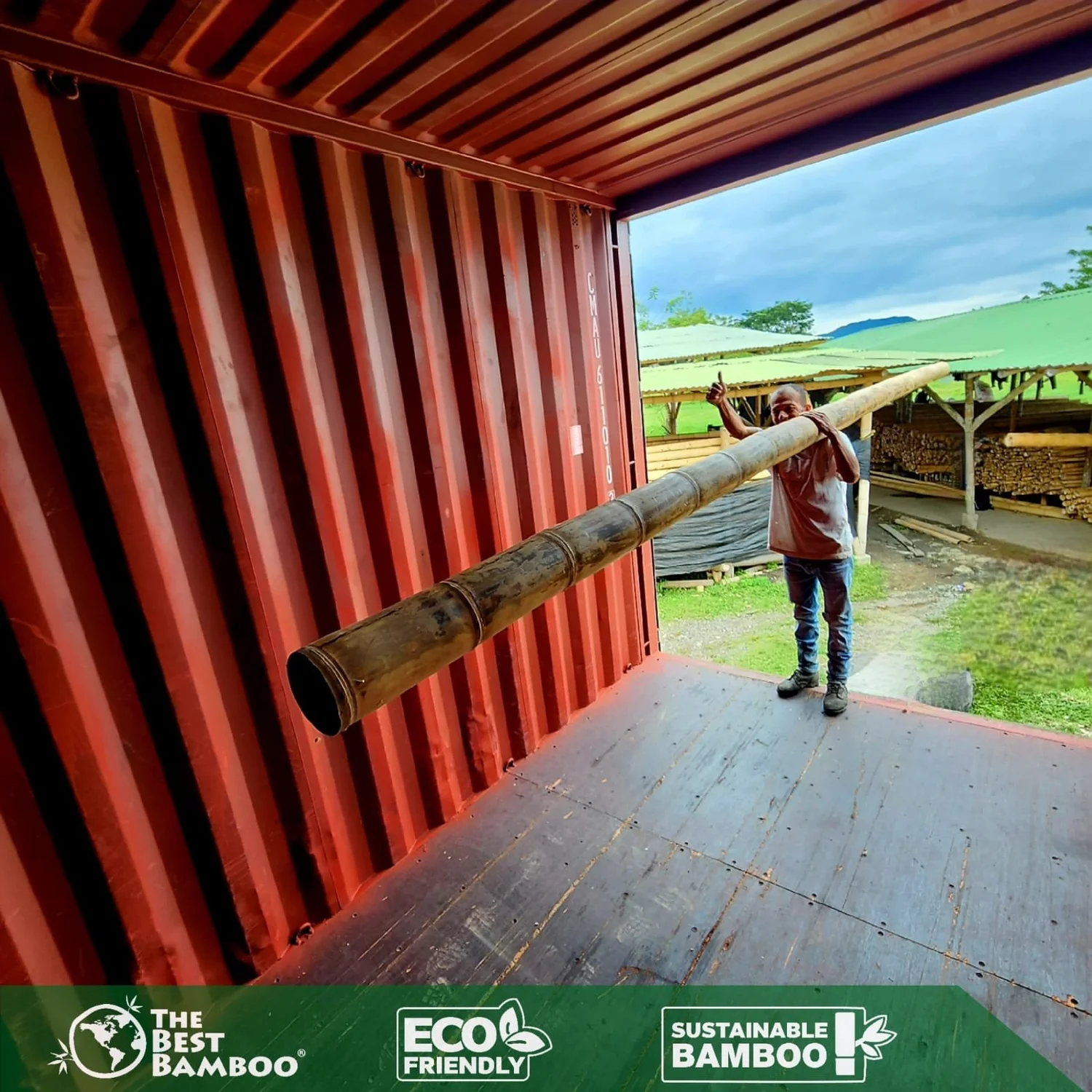 The Best Bamboo | Bamboo Poles for Sale | Buy Bamboo Poles Online