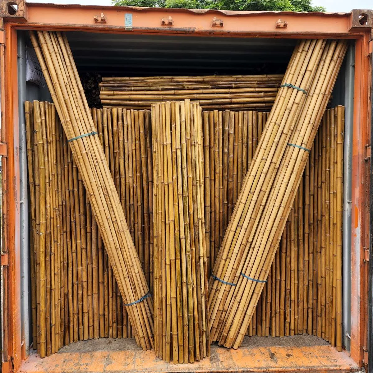 Bamboo Privacy Screens & Fencing Panels — Guadua Bamboo Direct from ...
