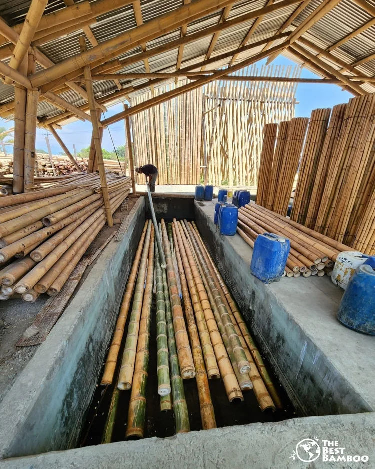 Bamboo Preservation: How to Treat Guadua Bamboo Effectively — The Best ...