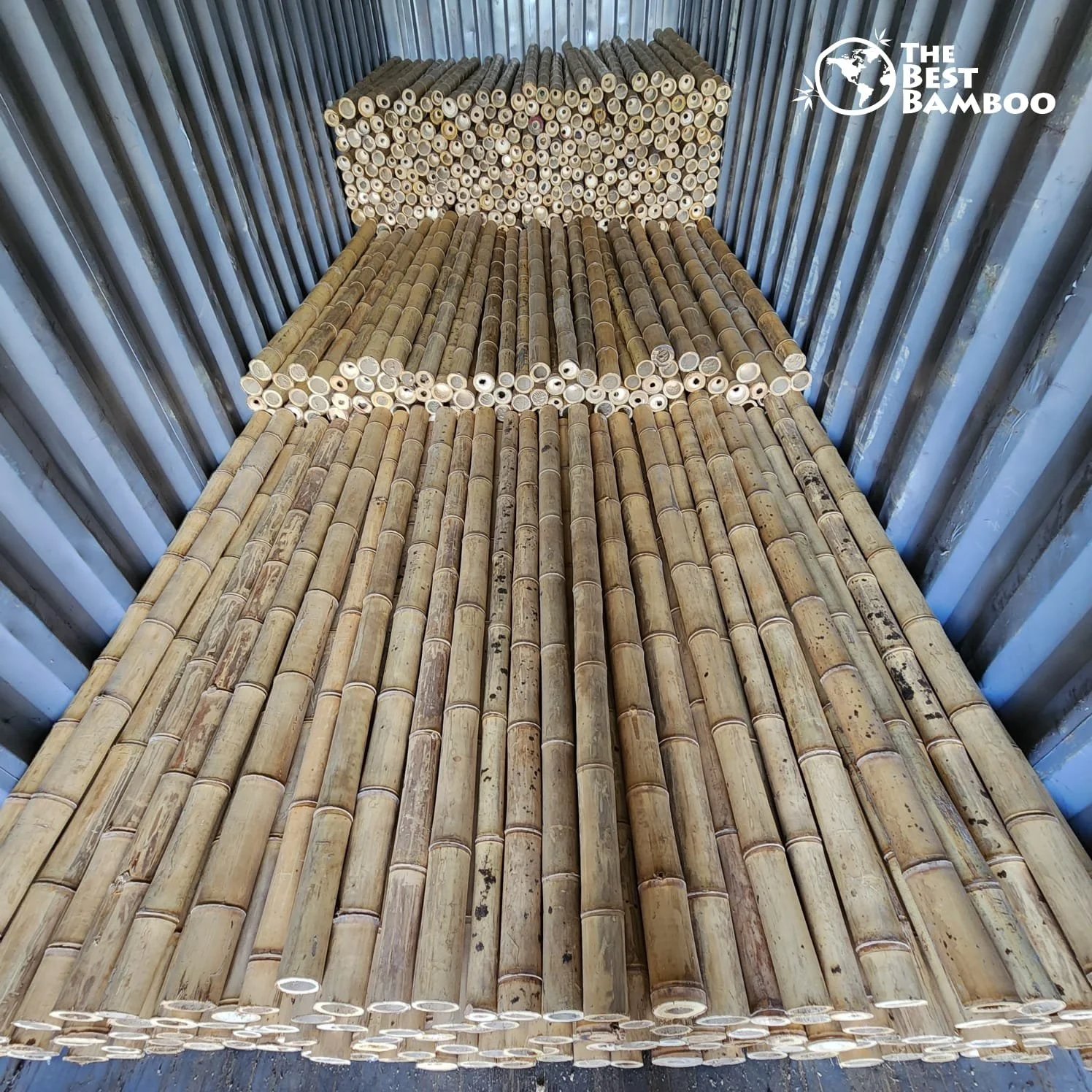 Quality Bamboo Poles for Sale from Colombia | Product, Price, & Natural ...