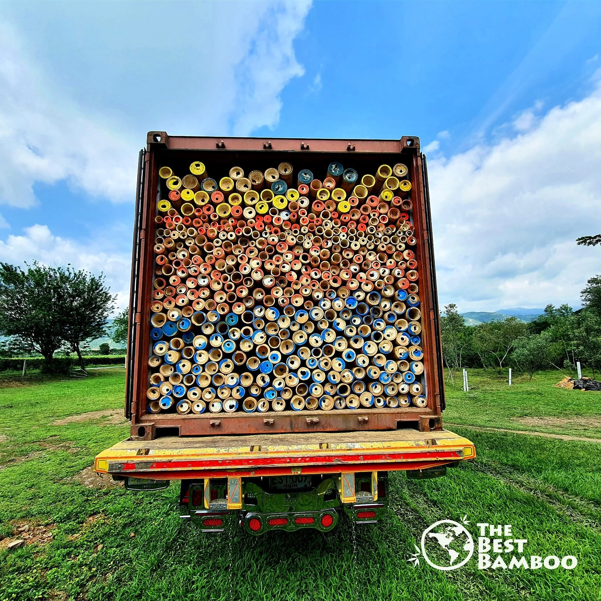 Quality Bamboo Poles for Sale from Colombia | Product, Price, & Natural ...