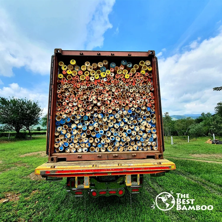 Quality Bamboo Poles for Sale from Colombia | Product, Price, & Natural ...
