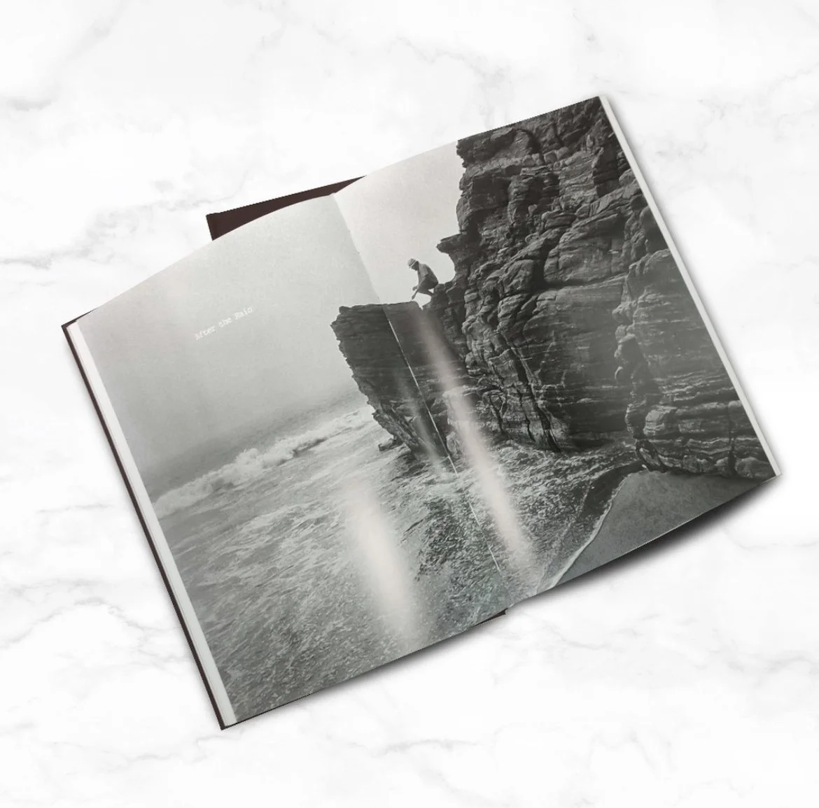 Animales Limited Edition Hardcover Book — Jeff Tocci