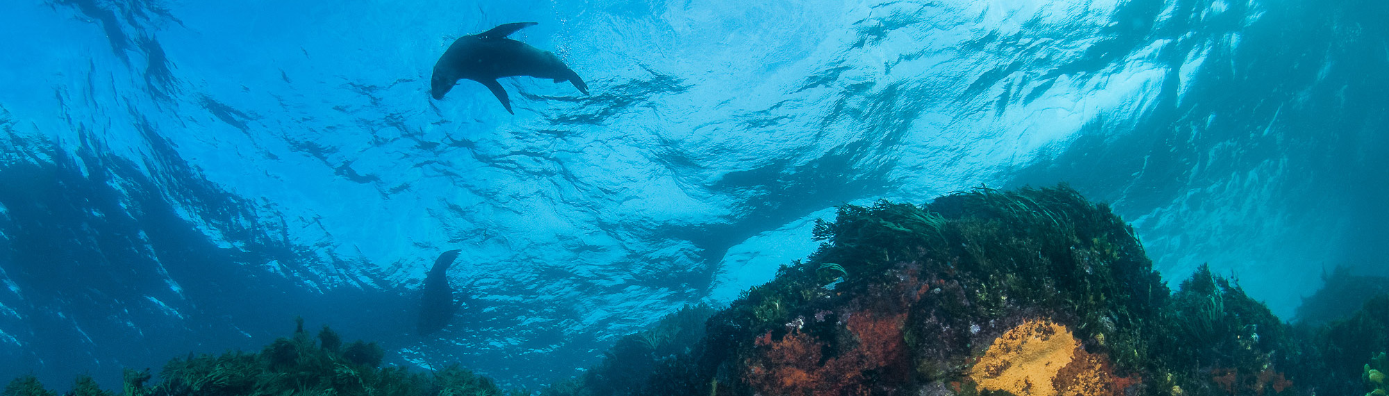 Astrolabe Reef / Otaiti