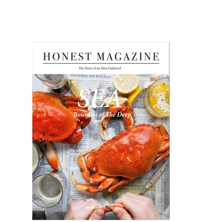 Honest Magazine