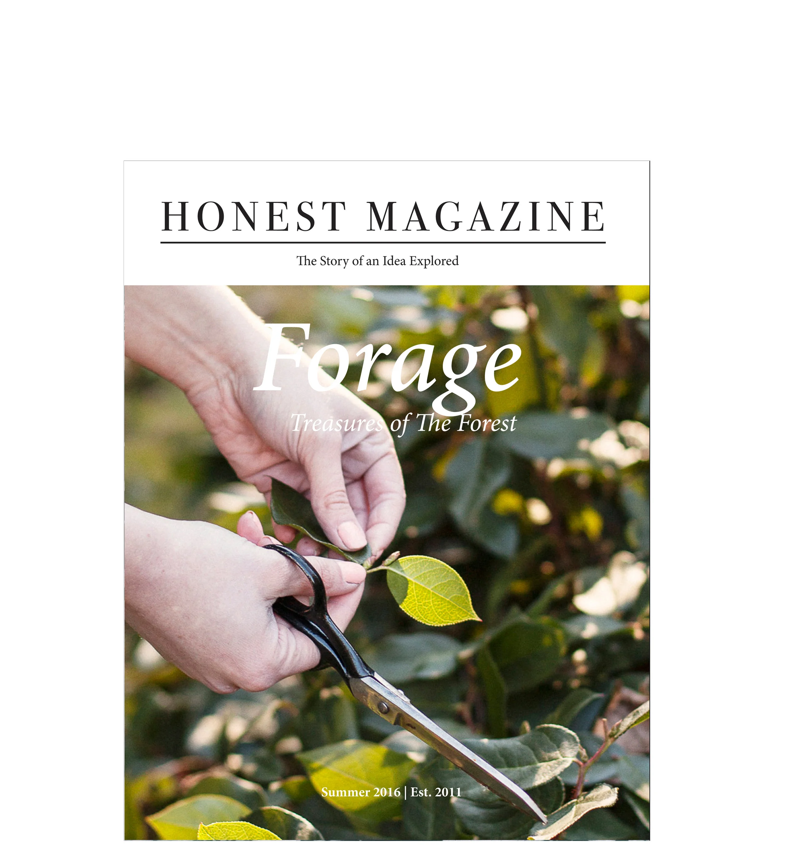 Honest Magazine