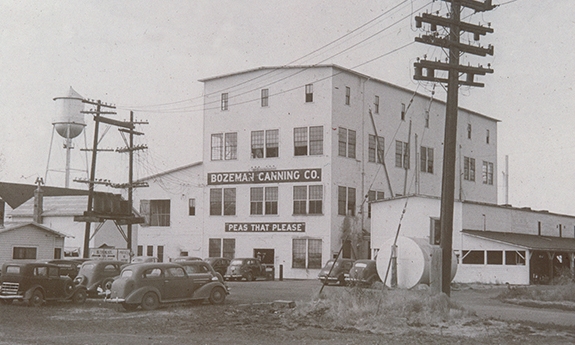 The Cannery Building — MINARIK ARCHITECTURE