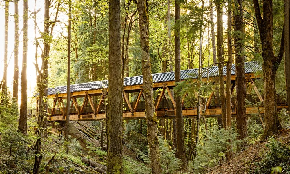 Lewis And Clark College Campus