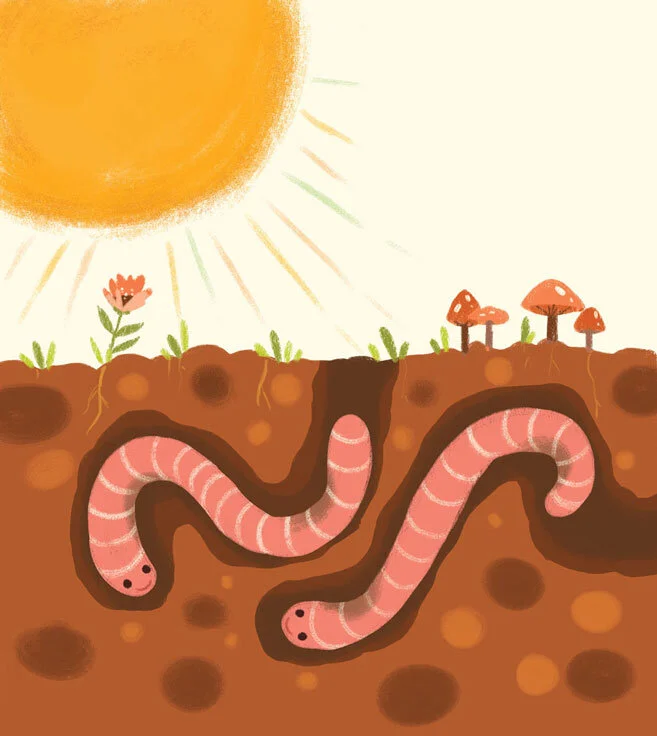 Worms In Dirt Clipart