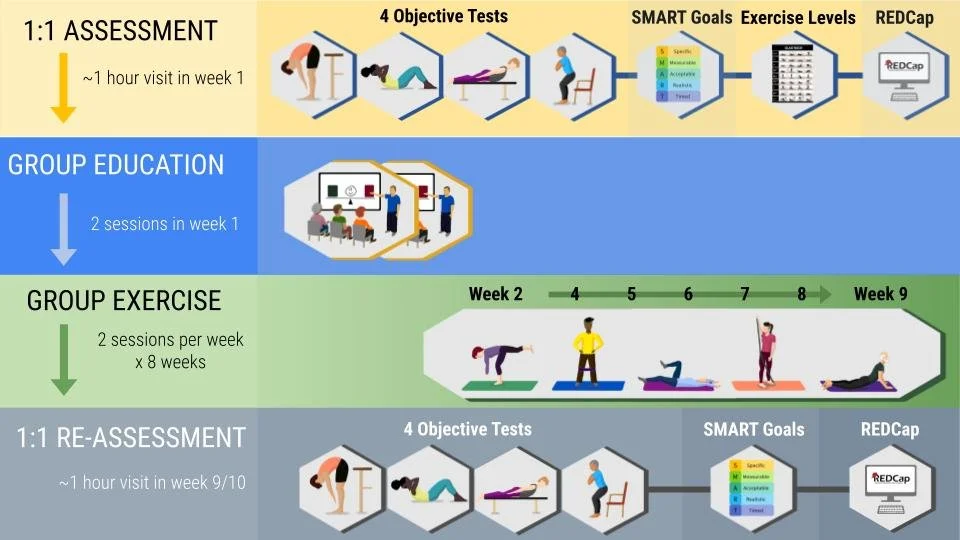 GLA:D Back Program — The Physio Lab