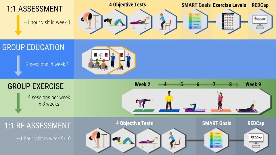 GLA:D Back Program — The Physio Lab