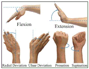 Wrist Injuries in Golf — The Physio Lab