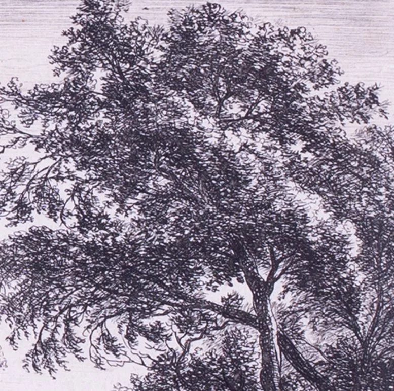 After Hubert Goltzius , 'Maximilian; Frideri; Hadrian; and Antoninus ...