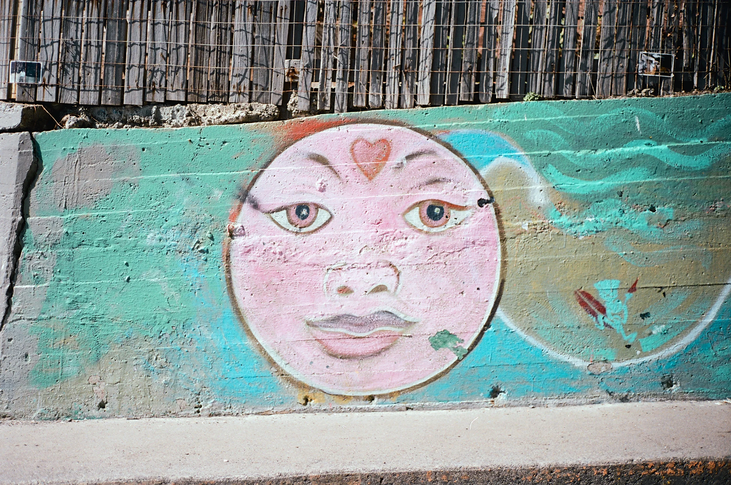 Ryan Tatar Photography