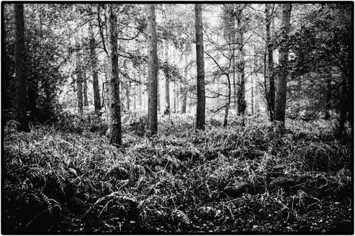 Alan Porter PhotographyAlan Porter Photography