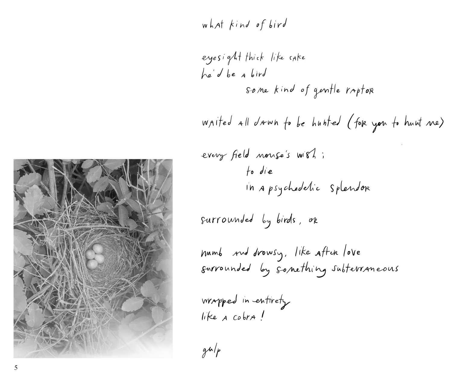 Madeline Cass artist photographer