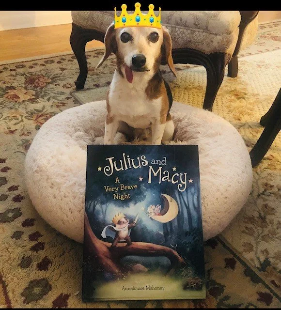 Julius and Macy: A Very Brave Night — Annelouise Mahoney
