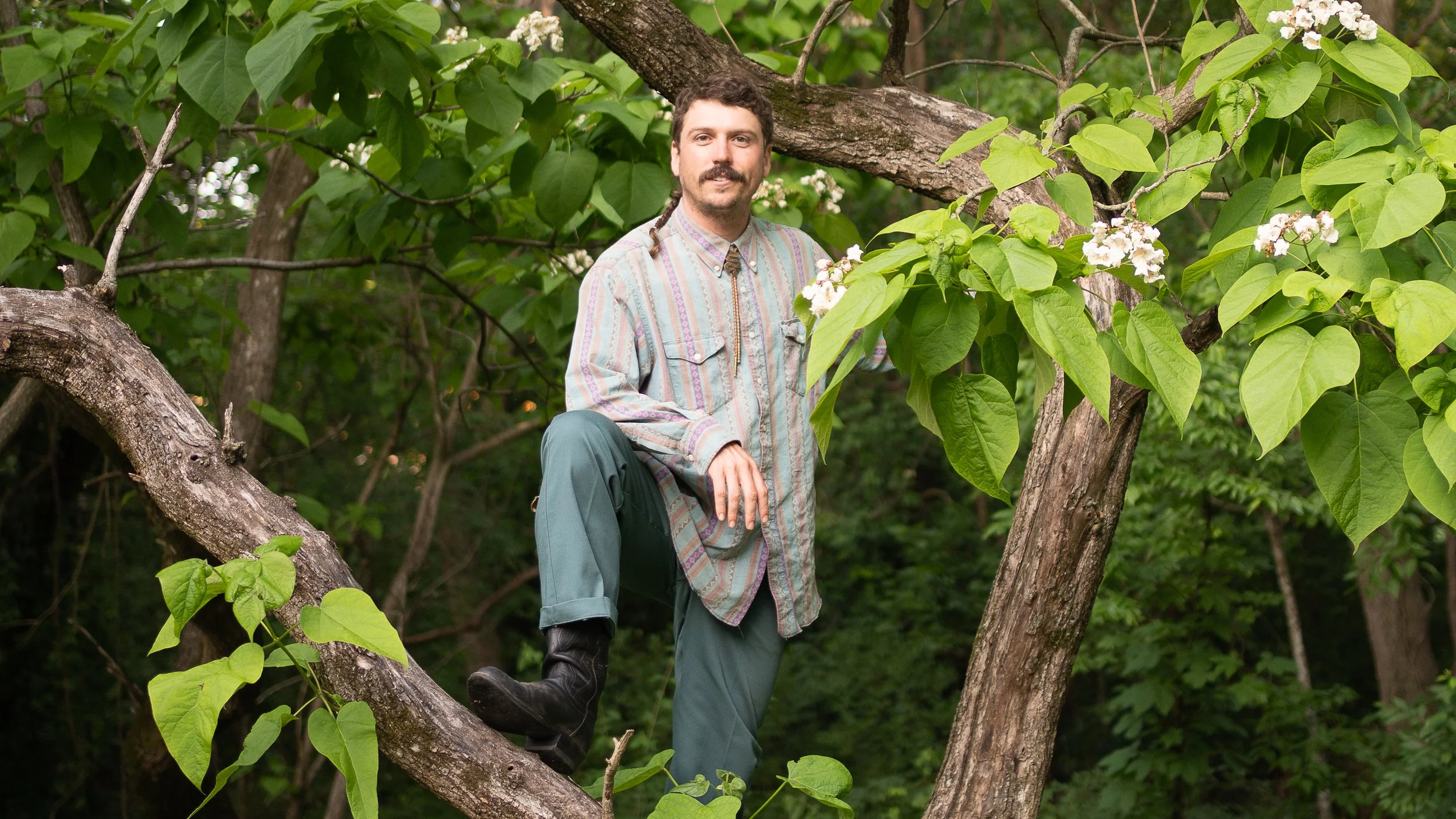 Press — Nick Shoulders