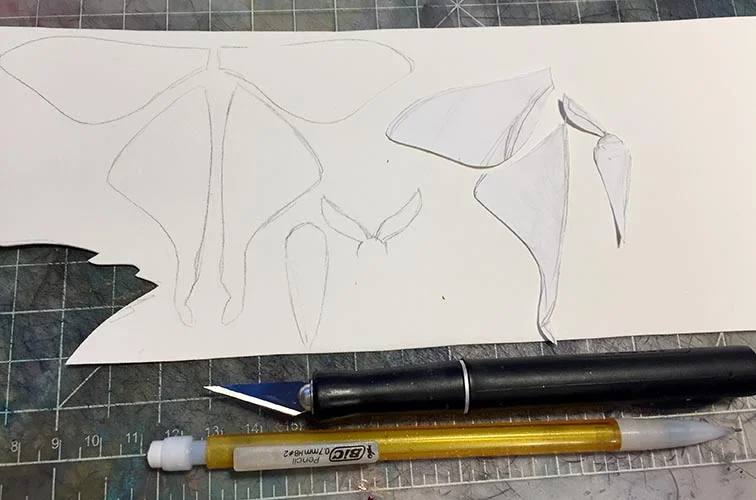 Paper Moth Tutorial — K. A. K. Lecky Illustration