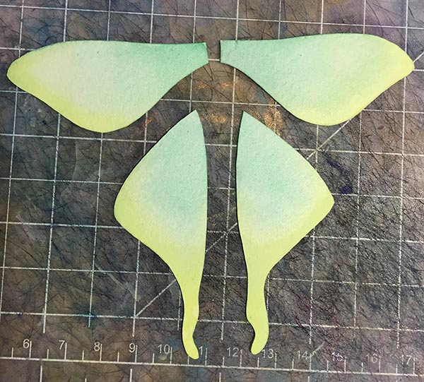 Paper Moth Tutorial — K. A. K. Lecky Illustration