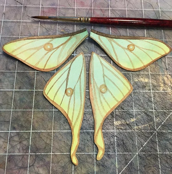 Paper Moth Tutorial — K. A. K. Lecky Illustration
