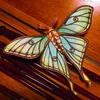 Paper Moth Tutorial — K. A. K. Lecky Illustration
