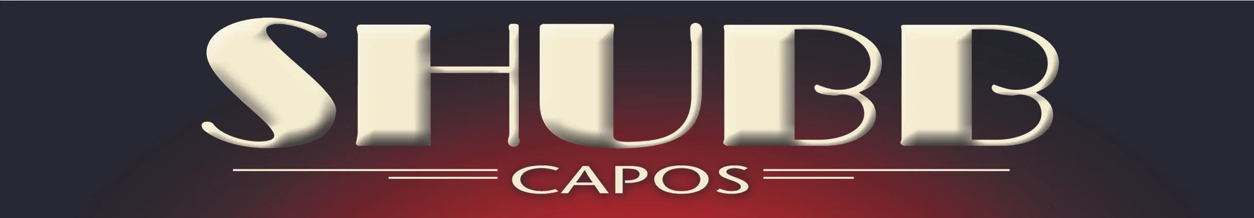 Bio & News — Emily Zuzik