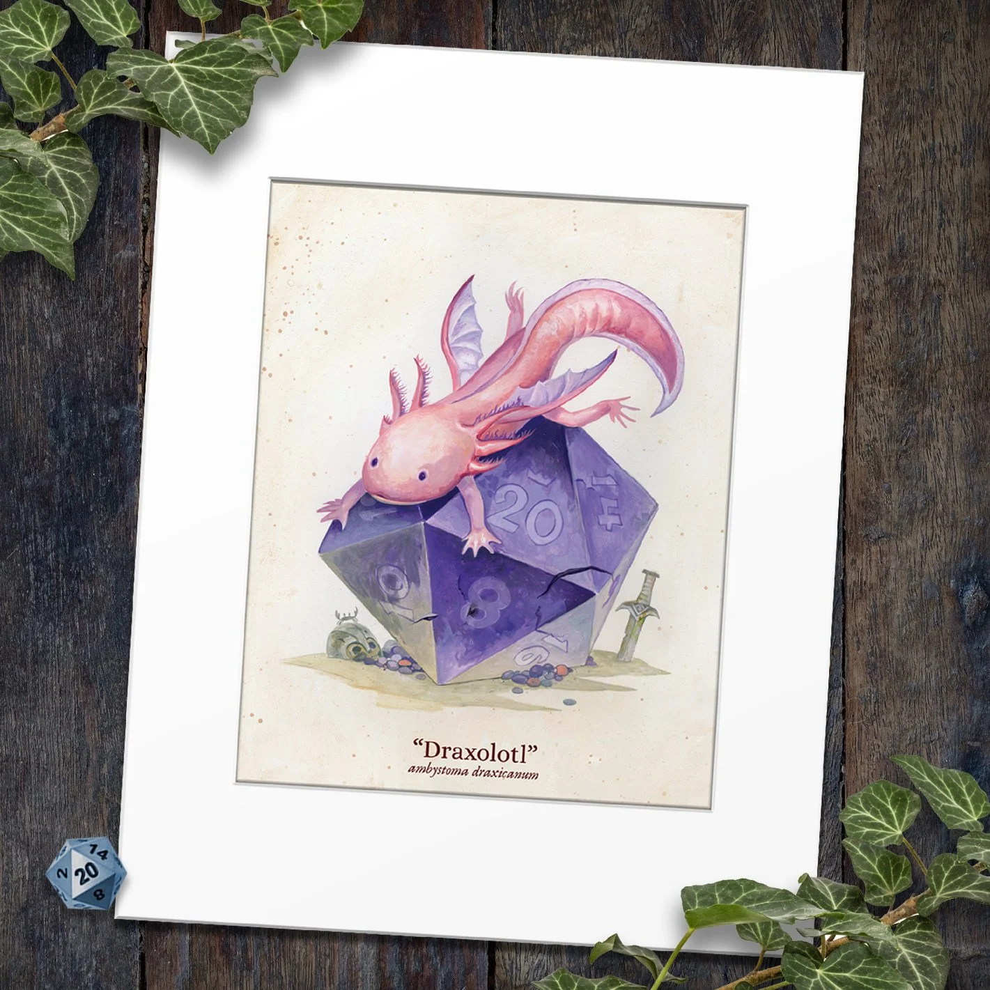 Shop — Jacob Walker