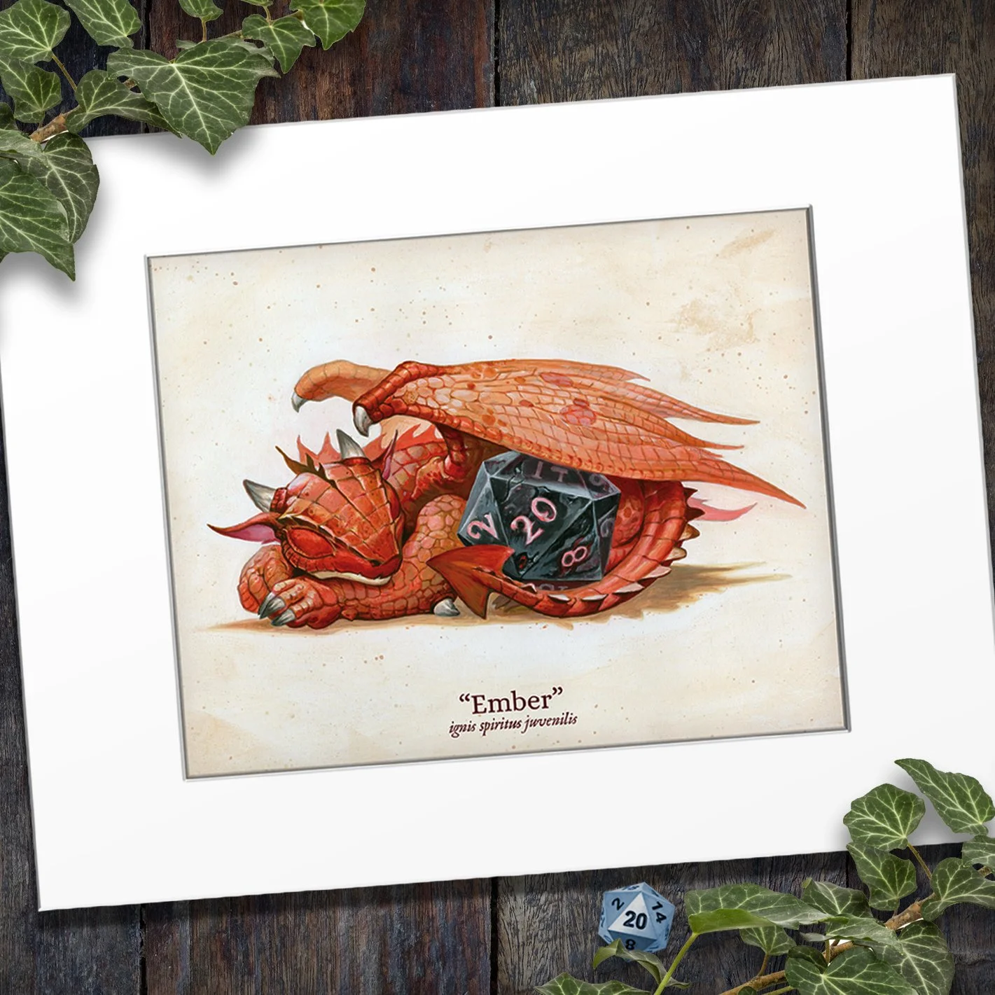 Shop — Jacob Walker