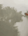 Lime Painting the Cottage Walls — The Tiny Canal Cottage