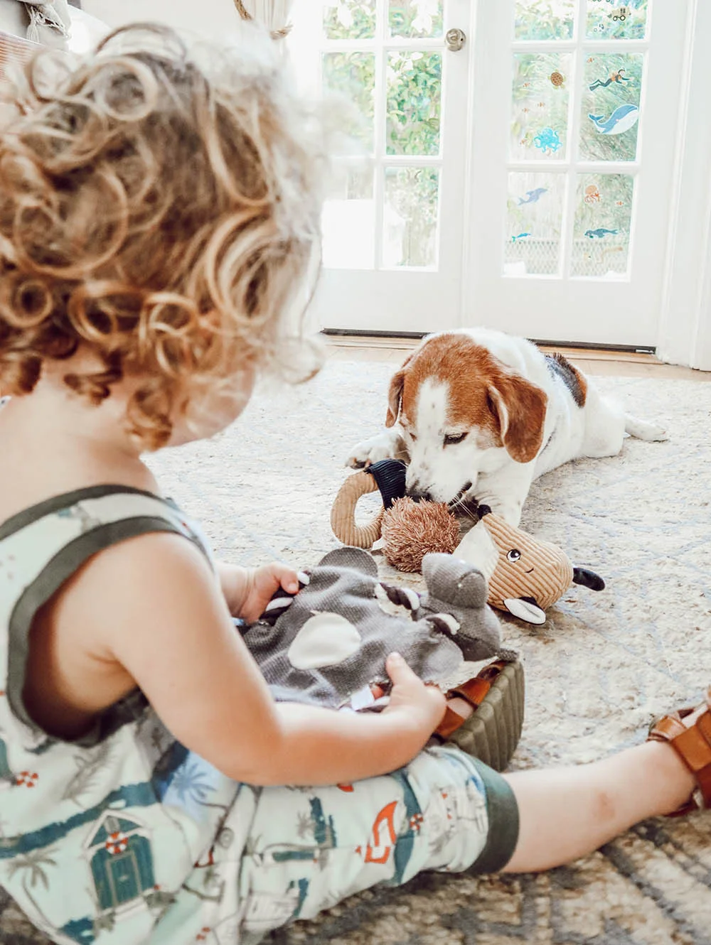 Minimizing Mess: Dog Toys — The Tiny Canal Cottage