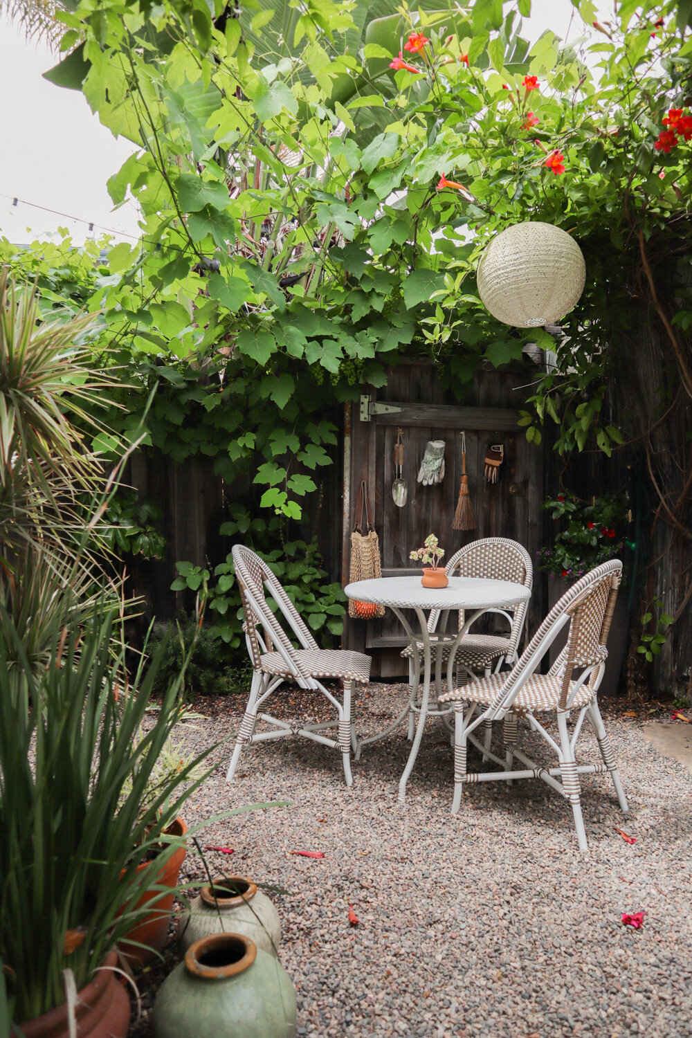 Before + After: Creating a Canopy of Vines — The Tiny Canal Cottage