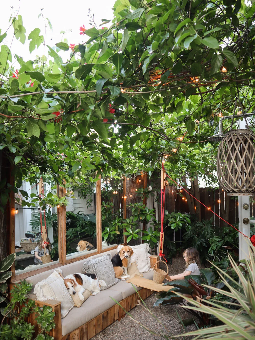 Before + After: Creating a Canopy of Vines — The Tiny Canal Cottage