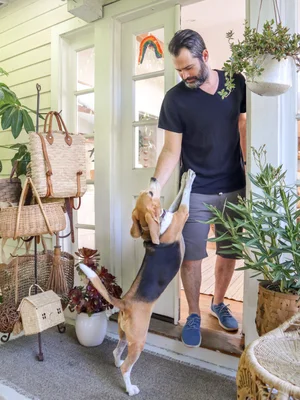 Before + After: Styling a Small Stoop for Versatile Daily Use — The ...