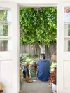 Before + After: Styling a Small Stoop for Versatile Daily Use — The ...