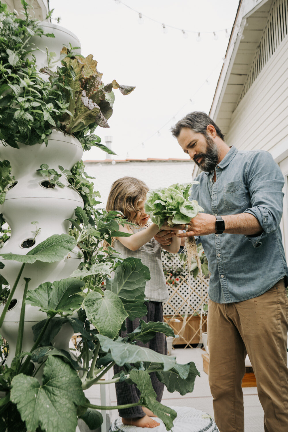 Composting in a Small Home and Garden (An Update) — The Tiny Canal Cottage