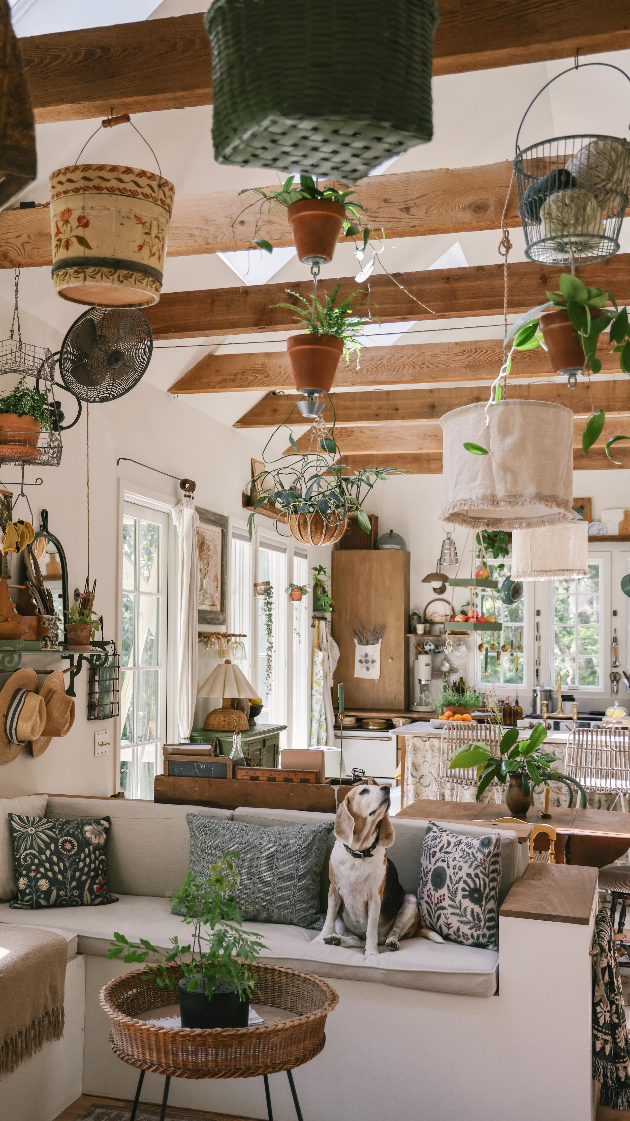 Before & After Video: The Cottage in Spring 2022 + Spring 2023 — The ...