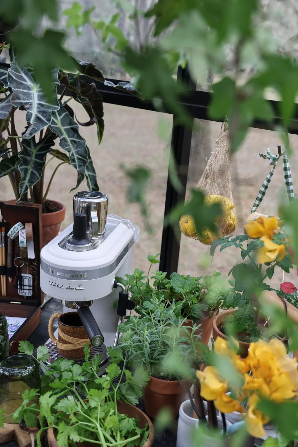 Biophilic Design: The Greenhouse Office (Brick Floor Update) — The Tiny ...