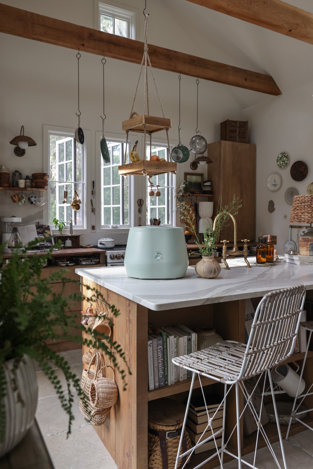 A Carbon Negative Kitchen Appliance with a Positive Impact on Soil ...