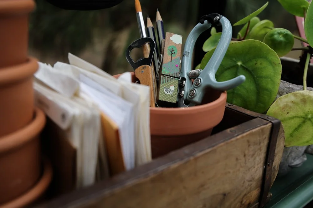 9 Tips for a Lower-Impact, Practical, Temporary Living Space — The Tiny ...