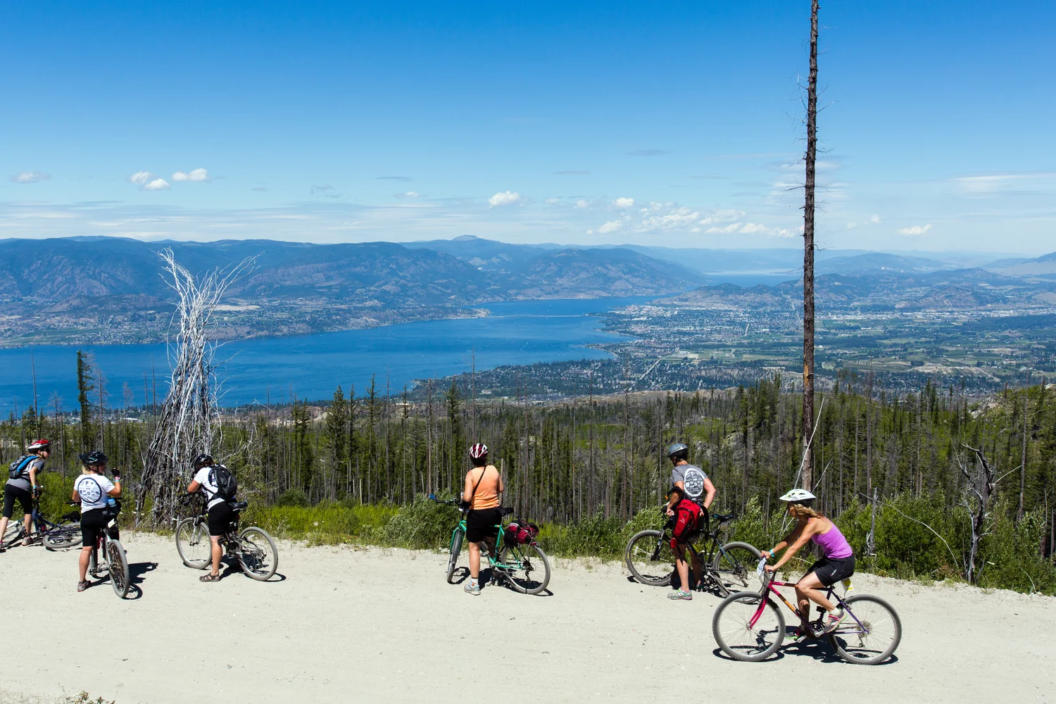Okanagan Trestles Tour
