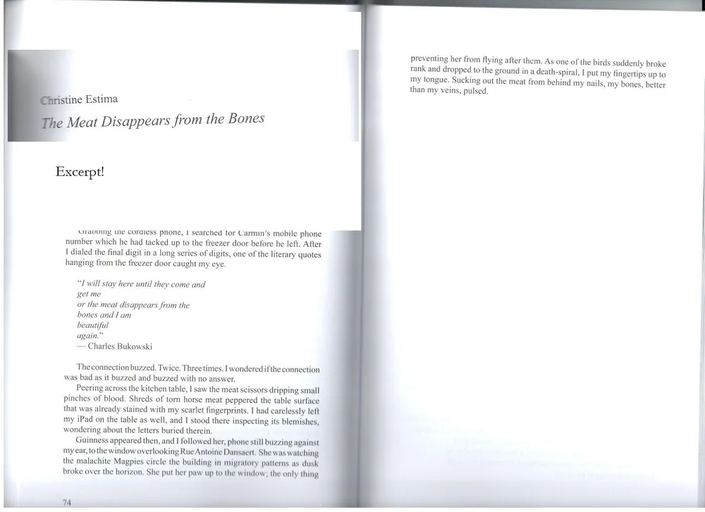 Fiction - Antigonish Review — Christine Estima