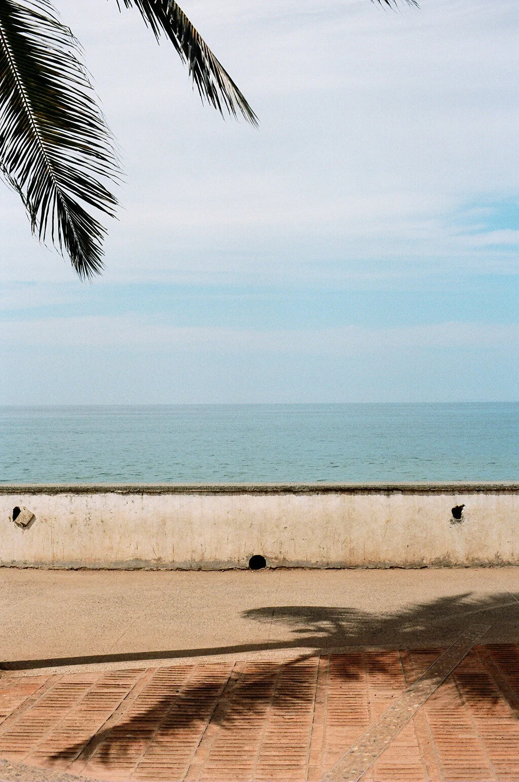 Trevor Triano Photography